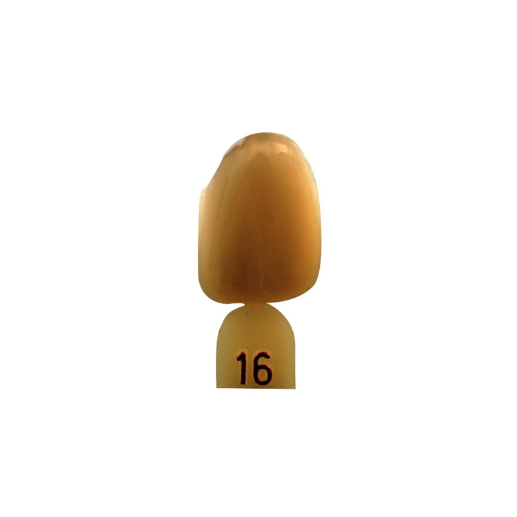 Directa Opaque Crown Refill (Central) 16 - Next Dental UK