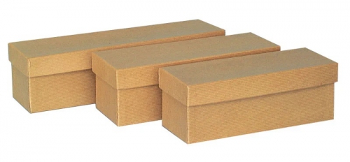 Impression Model Boxes - Next Dental UK